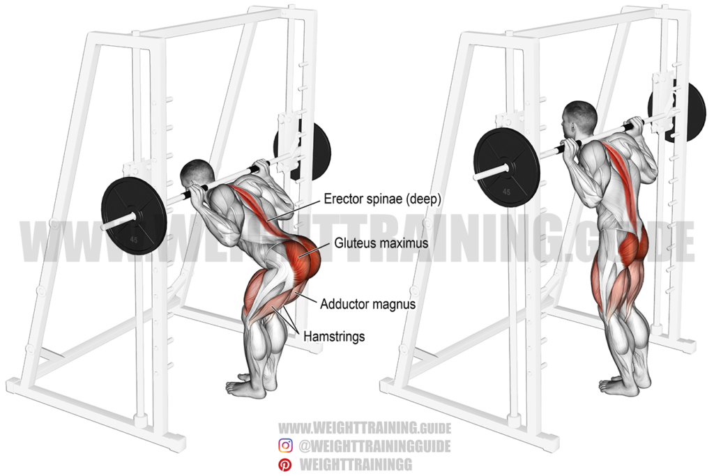 Smith Machine Bent Knee Good Morning Exercise Instructions And Video 4169
