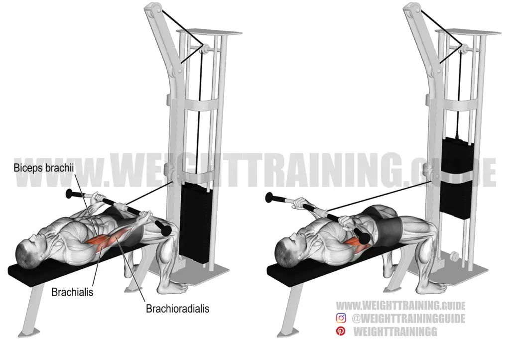 Lying Bent Knee Oblique Twist Instructions And Video Weighttrainingguide