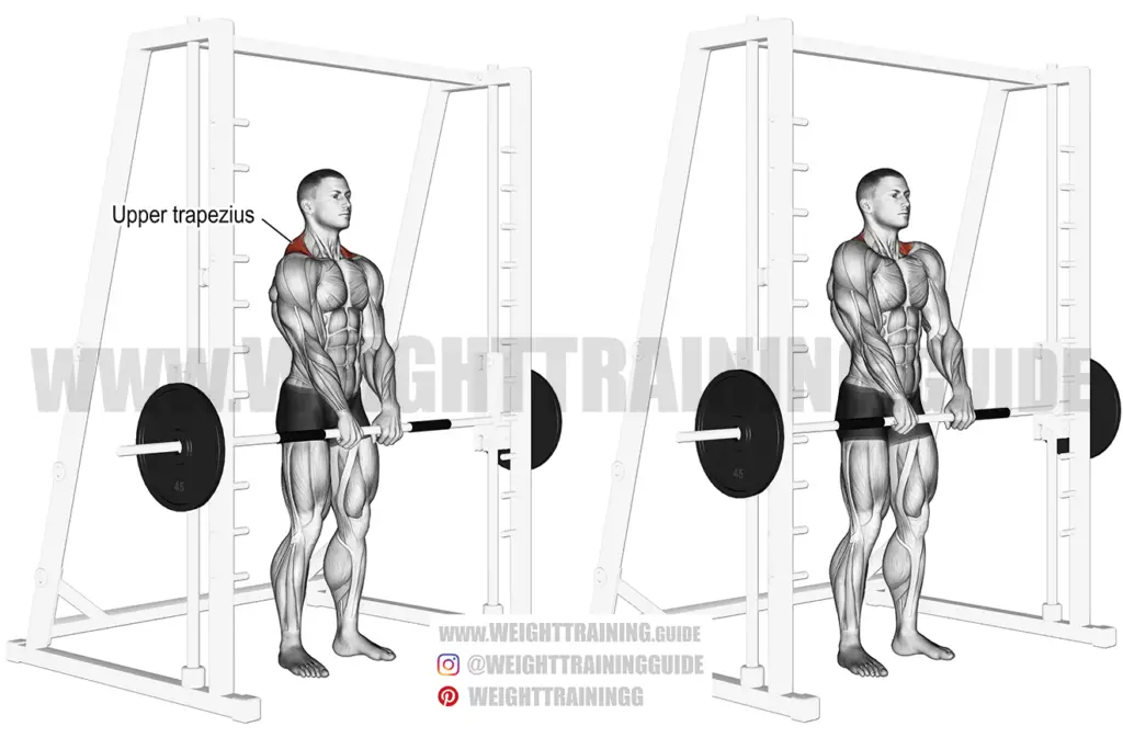 Smith Machine Bent Knee Good Morning Exercise Instructions And Video