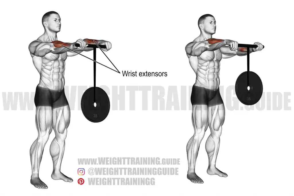 Wrist roller exercise instructions and video | weighttraining.guide Wrist roller exercise instructions and video | weighttraining.guide